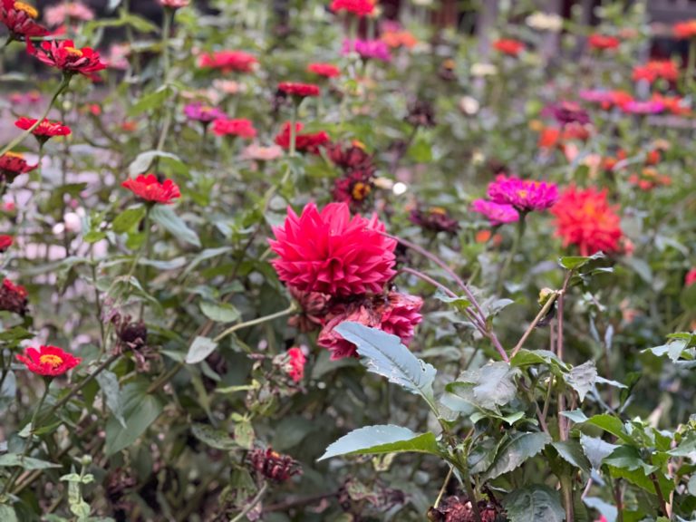 Homepage - https://crosshatchfarm.com/