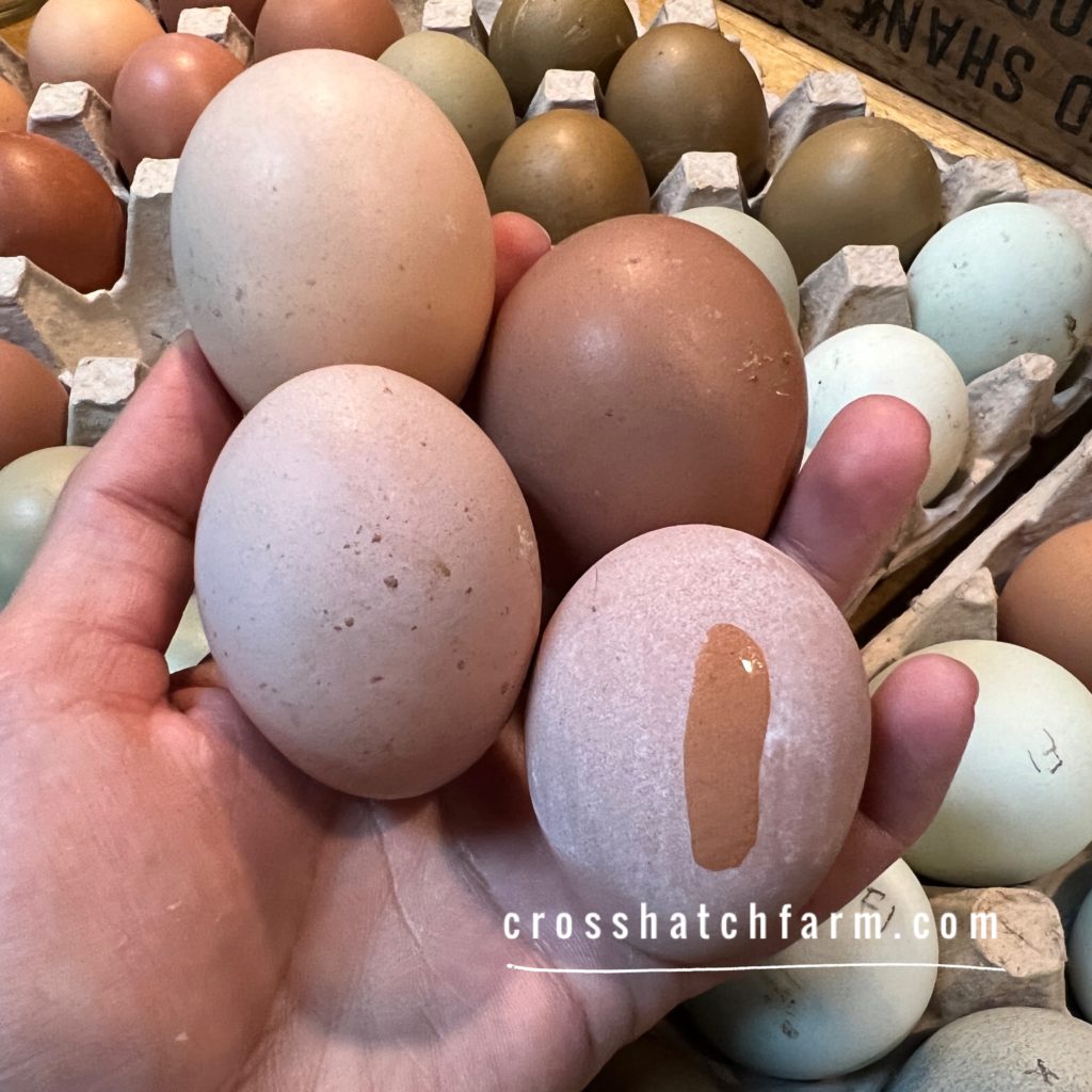 Homepage - https://crosshatchfarm.com/