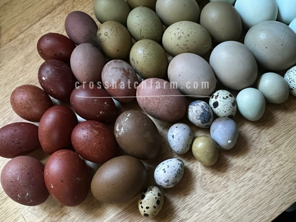Homepage - https://crosshatchfarm.com/